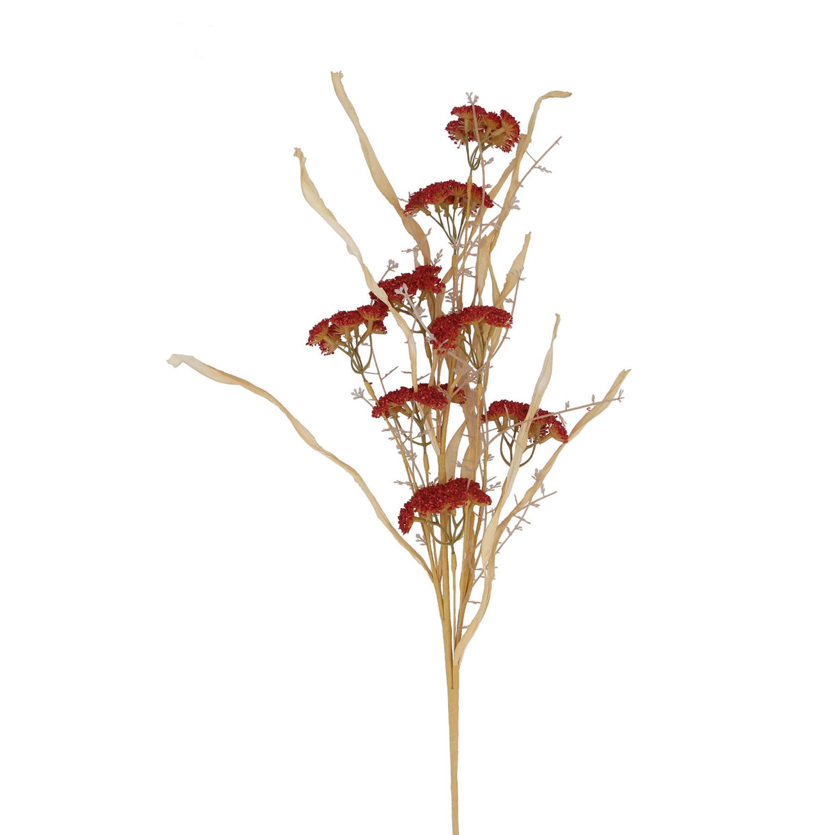 Red Wild Achillea Spray | 72cm – Home Made Beautiful